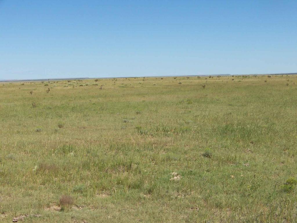 Mock Trinchera Creek Ranch | Chas S. Middleton