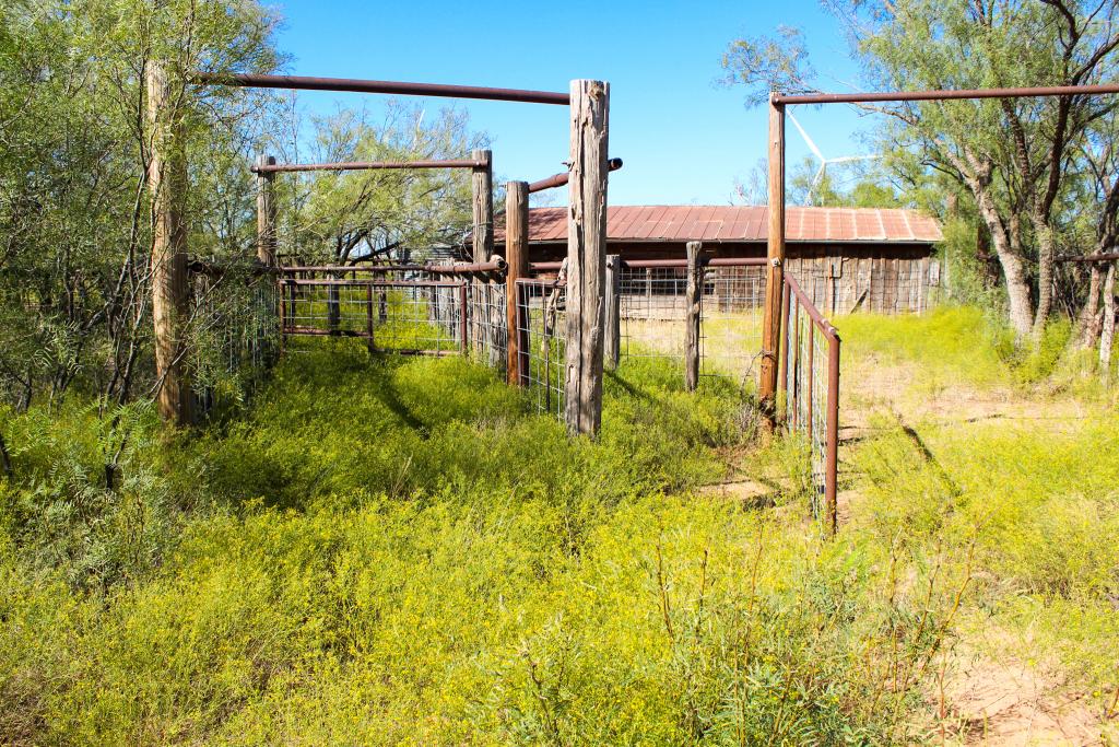 Johnson Ranch | Chas S. Middleton