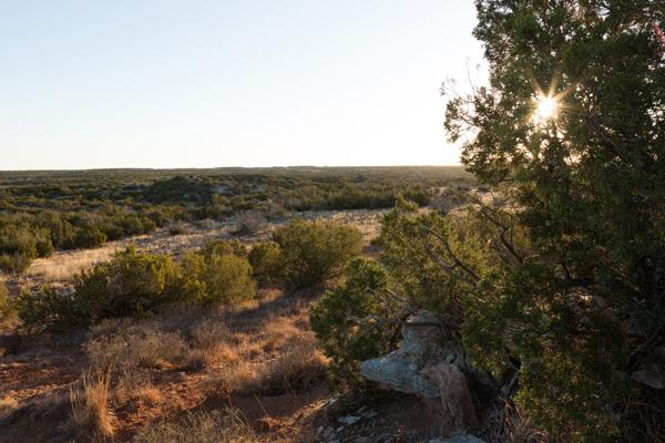 Bailey Ranch | Chas S. Middleton