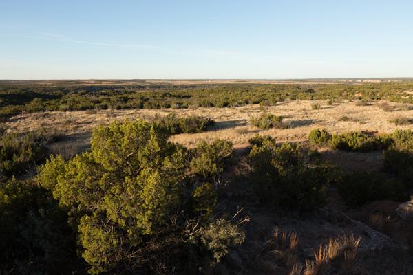 Bailey Ranch | Chas S. Middleton