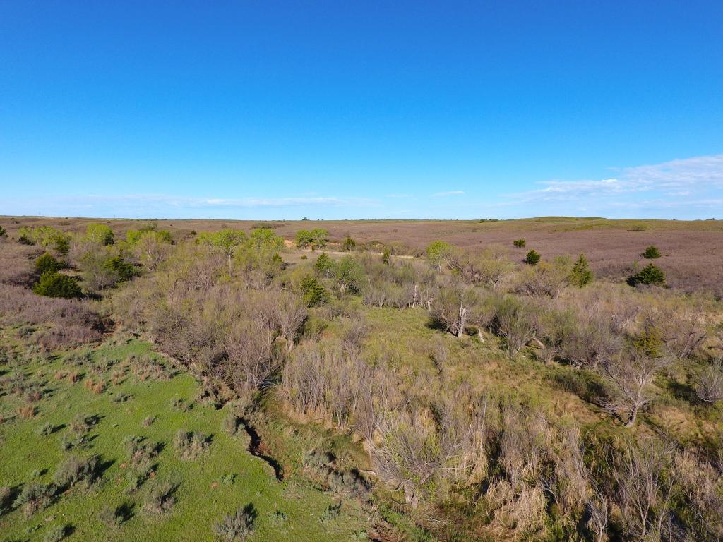 Bar T Ranch - Creek Pasture | Chas S. Middleton