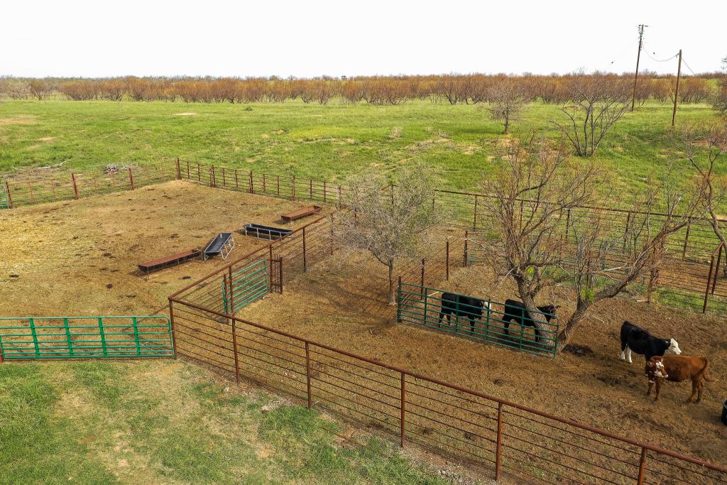 Perkins Ranch | Chas S. Middleton