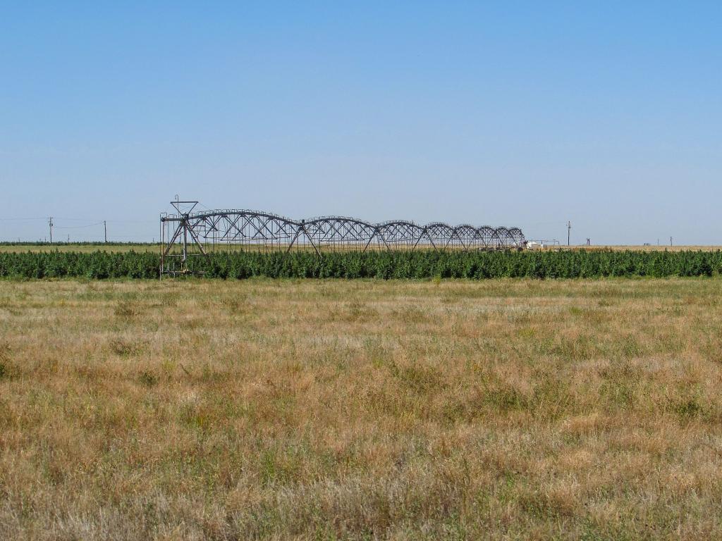 Spain Farm | Chas S. Middleton