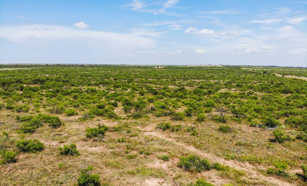 Thomas Ranch | Chas S. Middleton