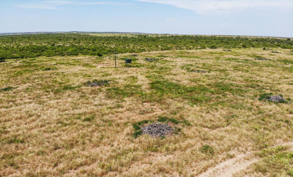 Thomas Ranch | Chas S. Middleton