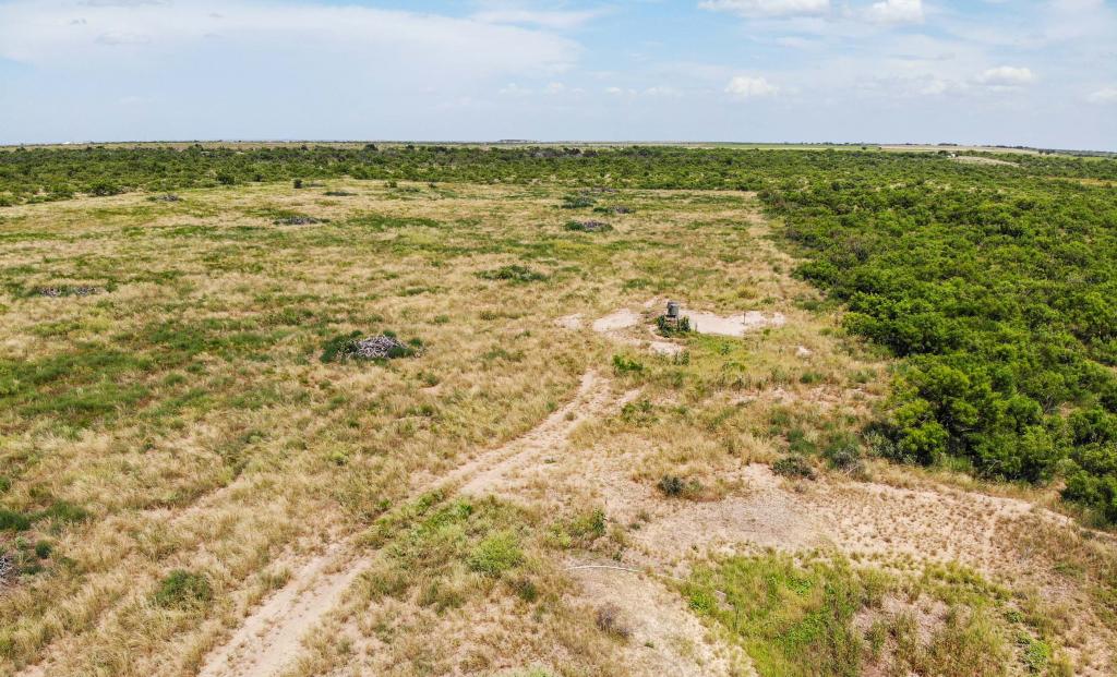 Thomas Ranch | Chas S. Middleton