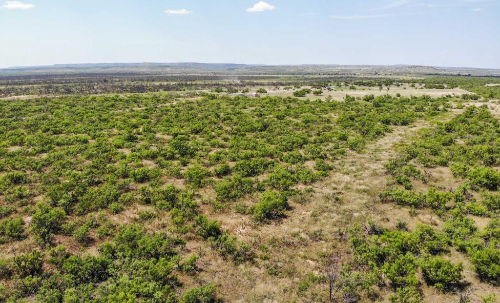 Thomas Ranch | Chas S. Middleton