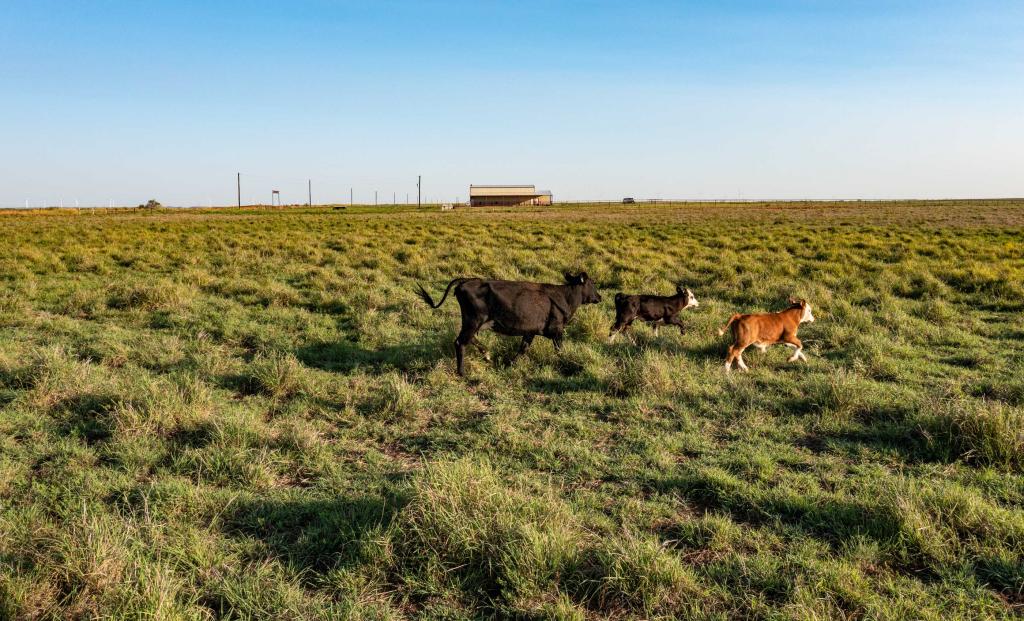 Rockin 3W Ranch | Chas S. Middleton