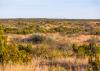 Cerf Pasture of the Longfellow Ranch | Chas S. Middleton