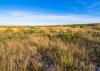 Cerf Pasture of the Longfellow Ranch | Chas S. Middleton