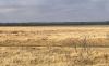 Buffalo Wallow Ranch | Chas S. Middleton