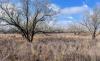 Buffalo Wallow Ranch | Chas S. Middleton