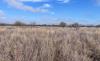 Buffalo Wallow Ranch | Chas S. Middleton