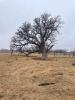 Buffalo Wallow Ranch | Chas S. Middleton