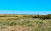 Turley Ranch | Chas S. Middleton