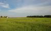 Turley Ranch | Chas S. Middleton