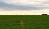 Turley Ranch | Chas S. Middleton