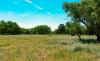 Turley Ranch | Chas S. Middleton