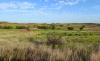 Turley Ranch | Chas S. Middleton