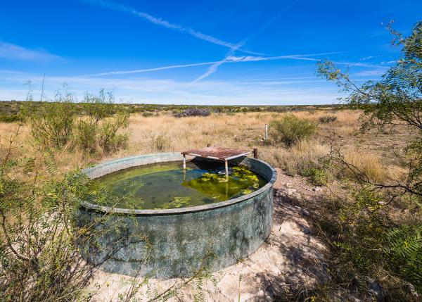 Cerf Pasture of the Longfellow Ranch | Chas S. Middleton