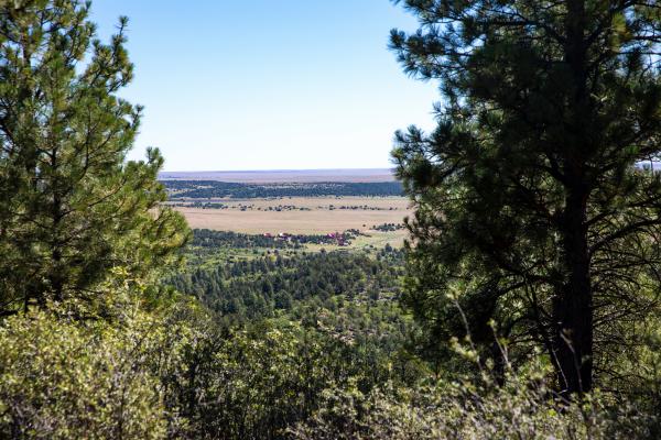 La Bonita Ranch | Chas S. Middleton