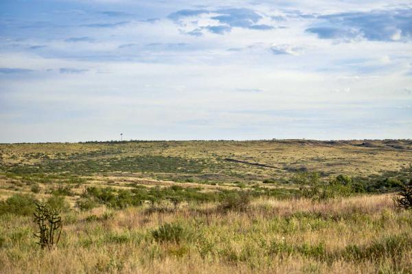 Conrad Ranch | Chas S. Middleton