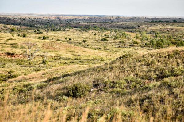 Conrad Ranch | Chas S. Middleton