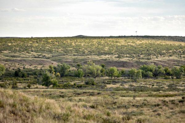 Conrad Ranch | Chas S. Middleton