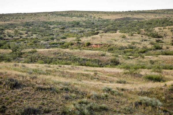 Conrad Ranch | Chas S. Middleton