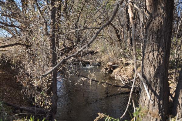 Ransom Canyon Ranch | Chas S. Middleton