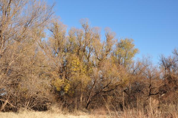 Ransom Canyon Ranch | Chas S. Middleton