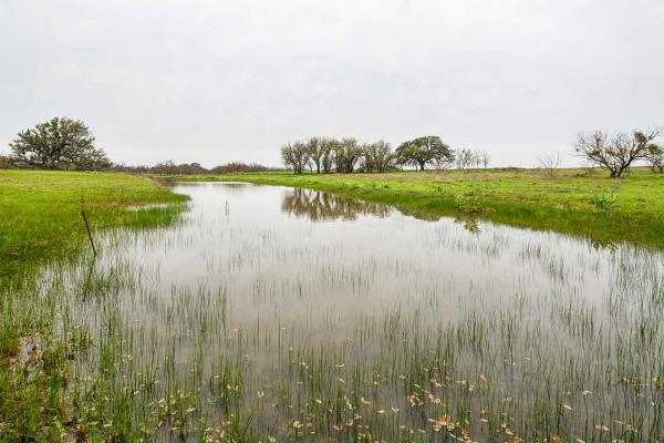 Ford Ranch | Chas S. Middleton