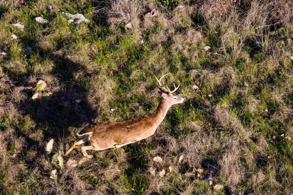 Ford Ranch | Chas S. Middleton
