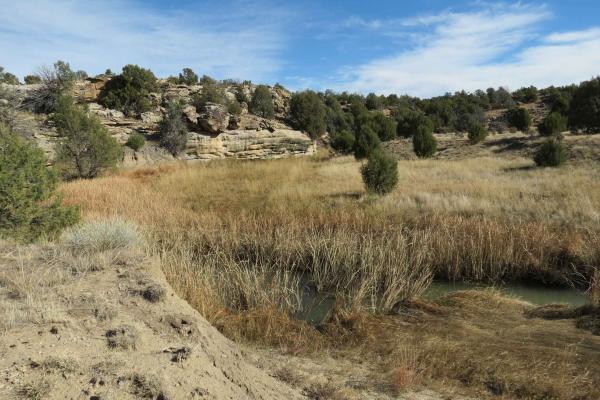 Acme Trinchera Creek Ranch | Chas S. Middleton