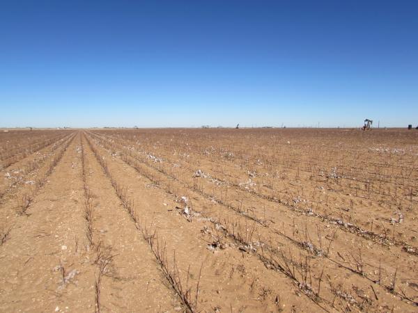 Nipper Farm | Chas S. Middleton