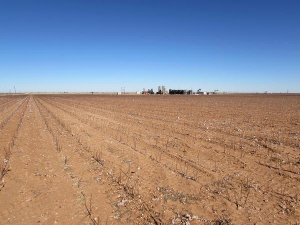 Nipper Farm | Chas S. Middleton