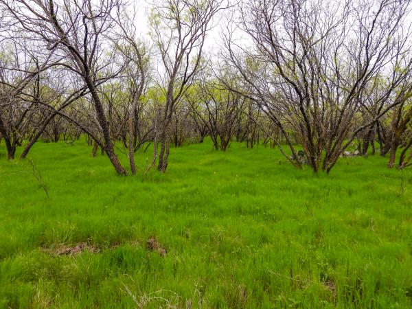 Clark Ranch | Chas S. Middleton