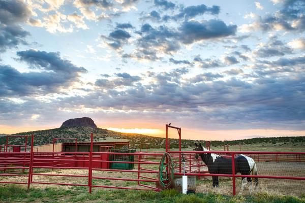L Bar Ranch | Chas S. Middleton