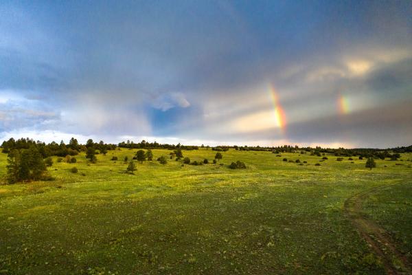 L Bar Ranch | Chas S. Middleton