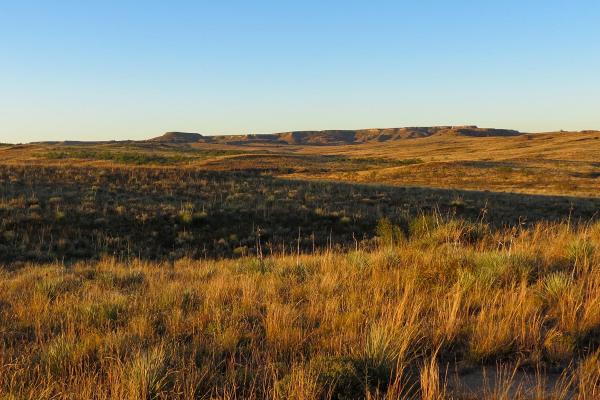 Boone Pickens' Mesa Vista Ranch | Chas S. Middleton