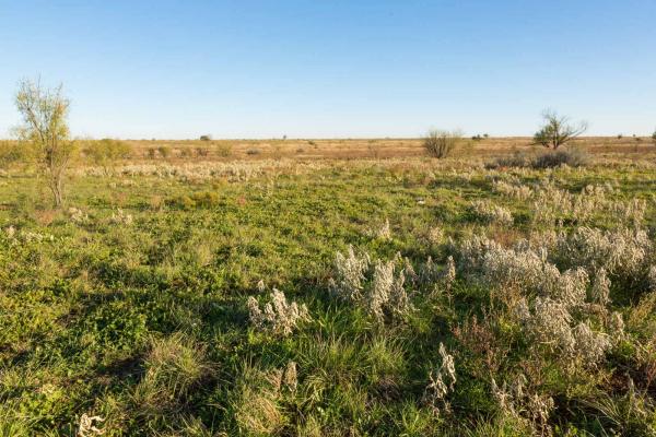 Swenson Family Flat Top Ranch | Chas S. Middleton