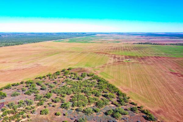 Swenson Family Flat Top Ranch | Chas S. Middleton