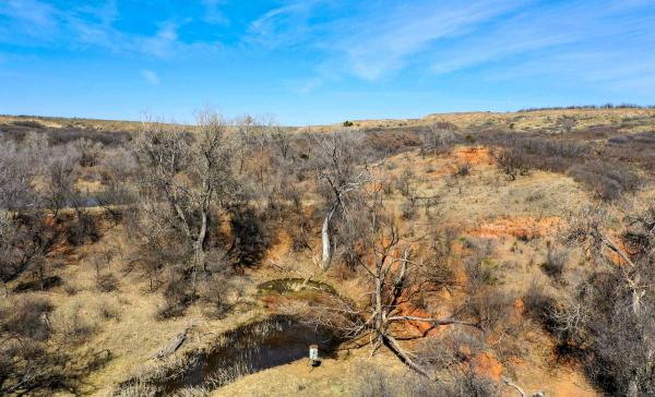 RO Ranch | Chas S. Middleton