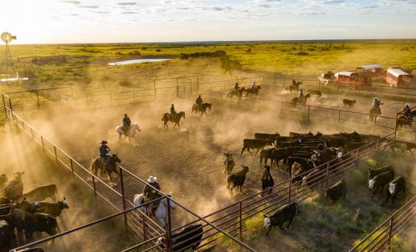 6666 Ranch | Chas S. Middleton