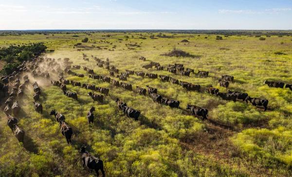 6666 Ranch | Chas S. Middleton