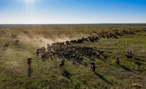 6666 Ranch | Chas S. Middleton