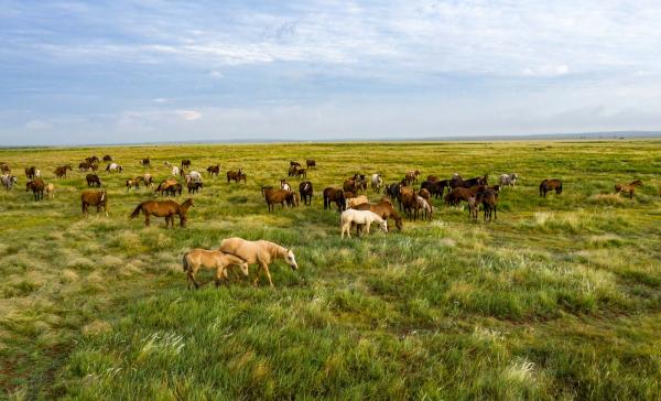 6666 Ranch | Chas S. Middleton