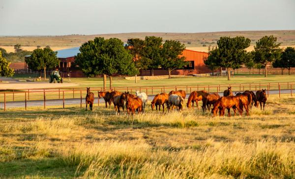 6666 Ranch | Chas S. Middleton