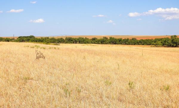 Clearview River Ranch | Chas S. Middleton