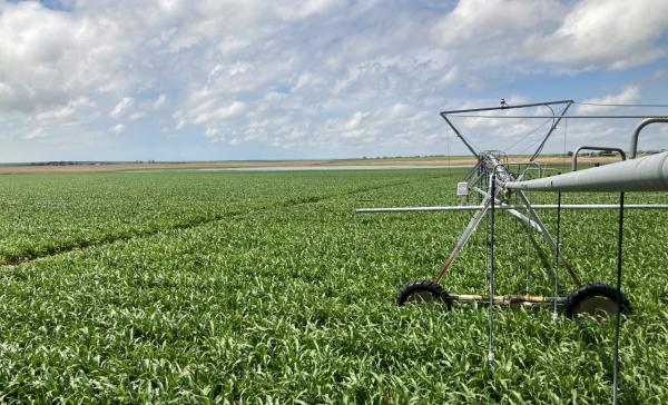 Irrigated Farmland | Chas S. Middleton